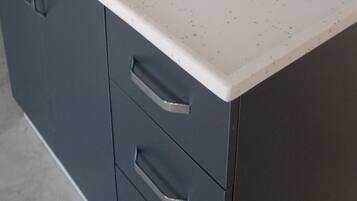 Apartamento Básico, 1 quarto (1+1) | Cozinha privada | Um frigorífico/congelador grande, uma placa de cozinha