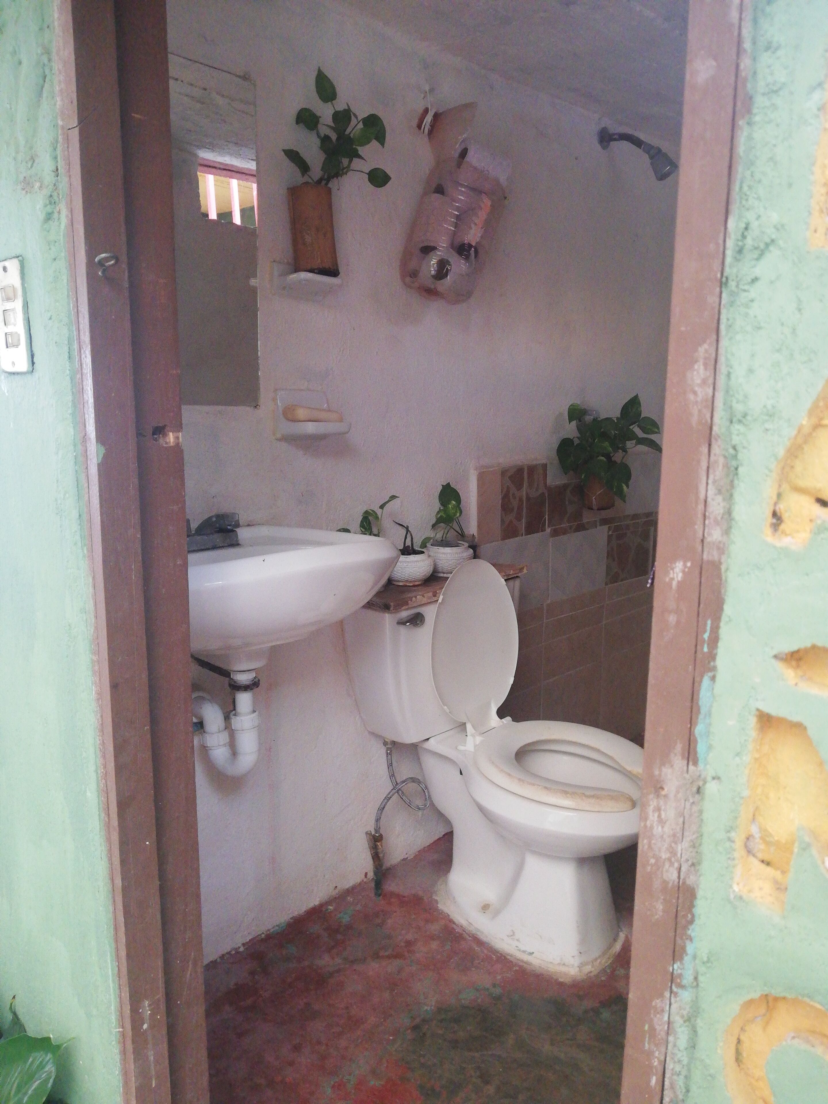 Casa de banho pequena e compacta com sanita, lavatório e algumas plantas em vasos.