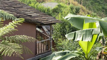 Vista para o jardim