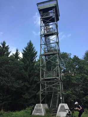 Uma torre de metal alta com uma escadaria que leva ao topo, rodeada por árvores.
