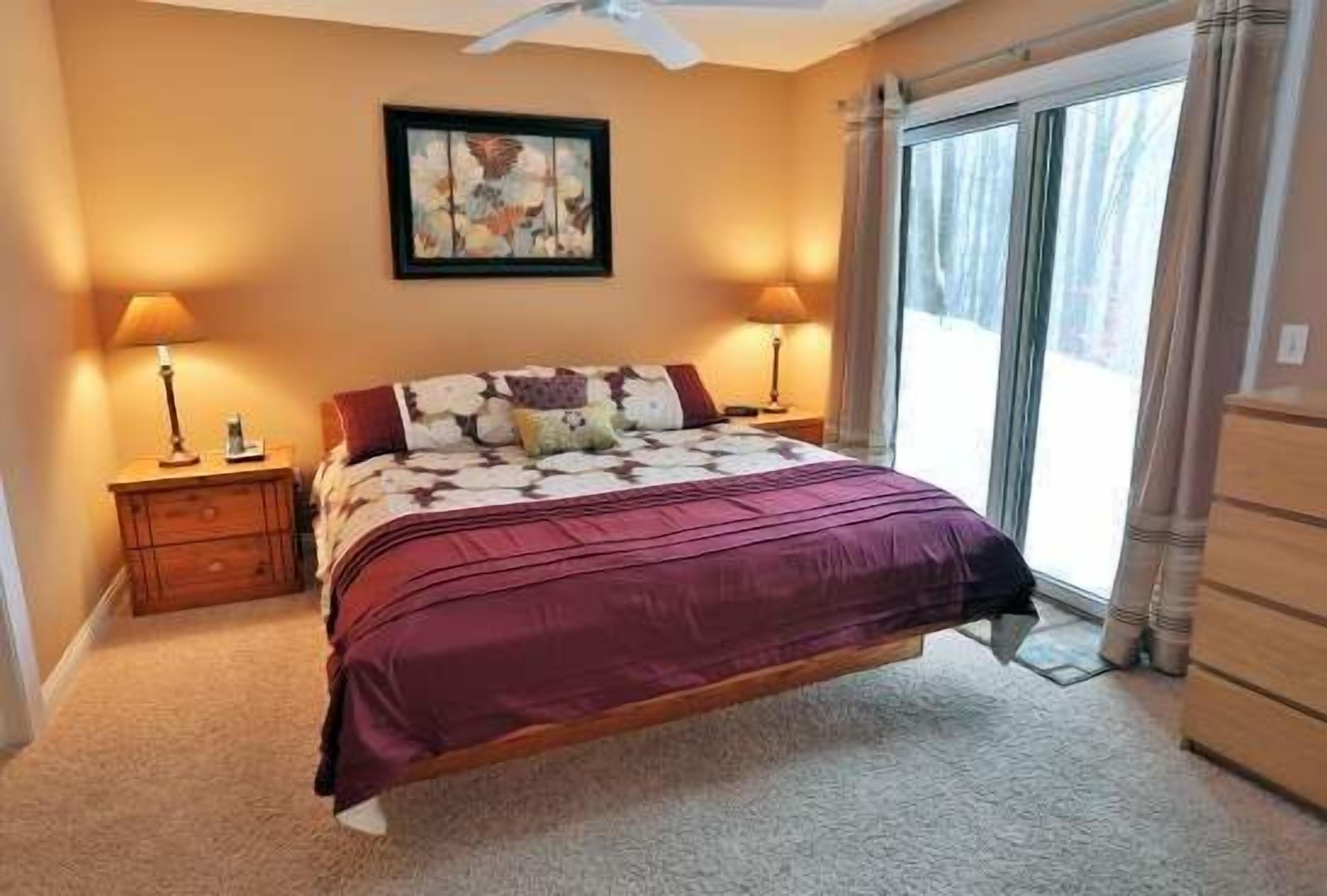 Comfy Trout Creek Condo #142 - 2 Bedrooms, 2 Baths With Kitchen, Fireplace. Pretty Wooded View - Harbor Springs, MI