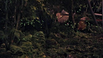 Uma floresta densa com folhagem verde e uma grande formação rochosa.