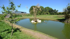 Casa de campo | Área da propriedade