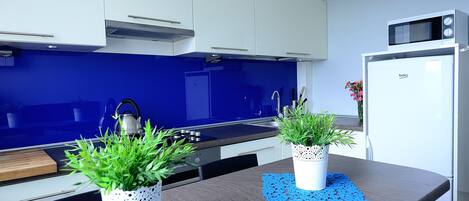 Apartamento | Cozinha privada | Um frigorífico, um micro-ondas, um forno, uma placa de cozinha