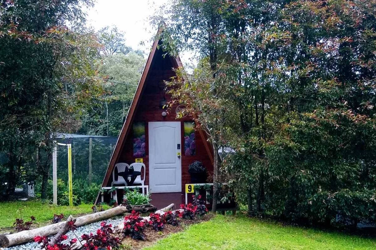 Uma cabana de madeira triangular com porta e janelas, rodeada por vegetação e um caminho pavimentado.