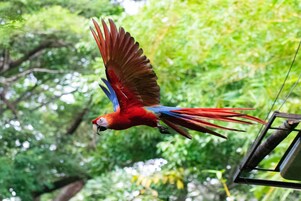 Ecoturismo