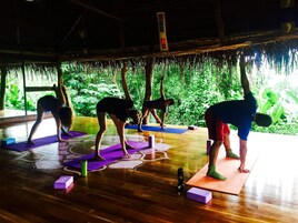 Aula de yoga numa sala com soalho de madeira e grandes janelas, permitindo a entrada de luz natural.