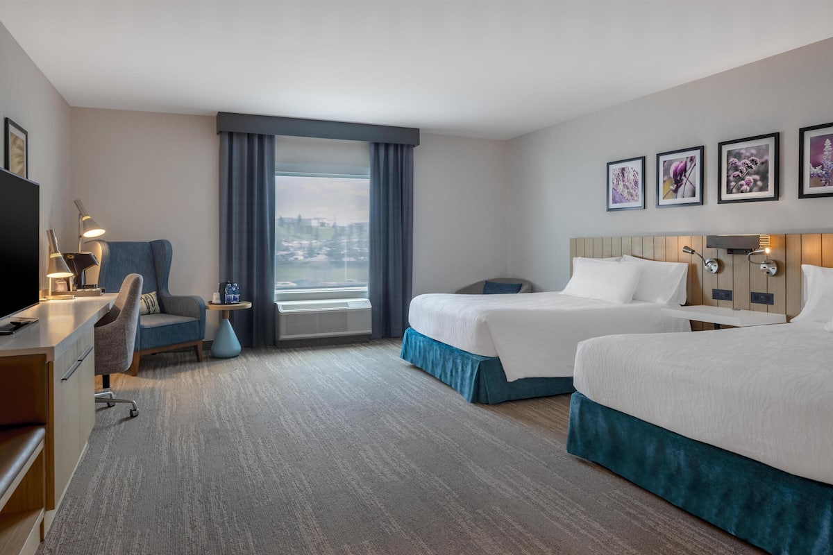 Secretária, cortinas/cortinados opacos, quartos insonorizados