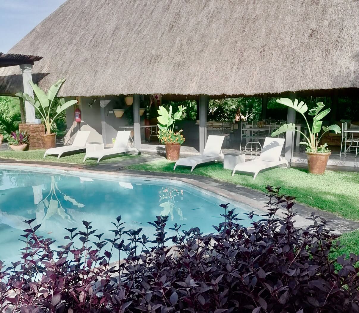 Villa Exclusiva | Vista para o jardim