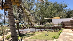 Um jardim bem cuidado com palmeiras, um caminho e vista para o mar.
