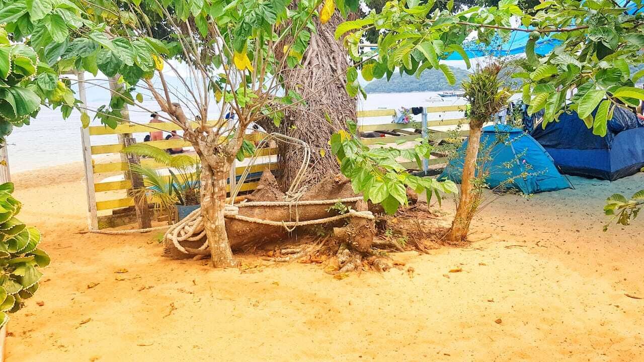 Uma área de praia com um banco de madeira, uma árvore com uma barreira de corda e uma tenda azul.