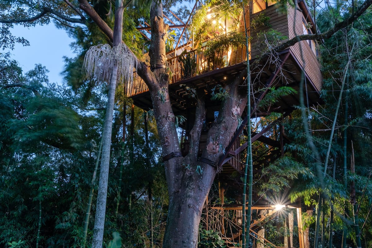 Casa na árvore (El Nido) | Vista do quarto