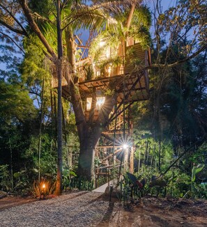 Casa na árvore (El Nido) | Vista do quarto