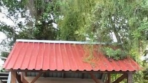 Terraço/pátio interior