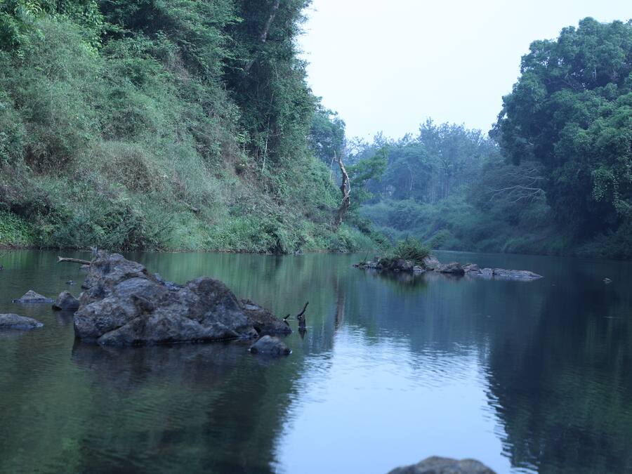 Lago