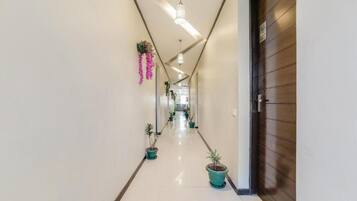 Corredor com plantas em vasos, porta de madeira e luminária pendente.