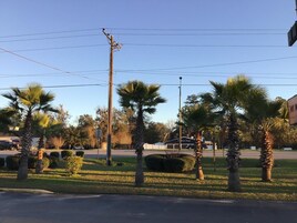 Vista da rua com palmeiras, um edifício com uma placa e fios de eletricidade.