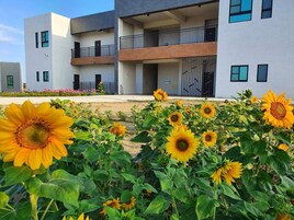 Fachada do alojamento