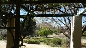 Vista pela janela de uma área de jardim com árvores, um banco e uma cerca.