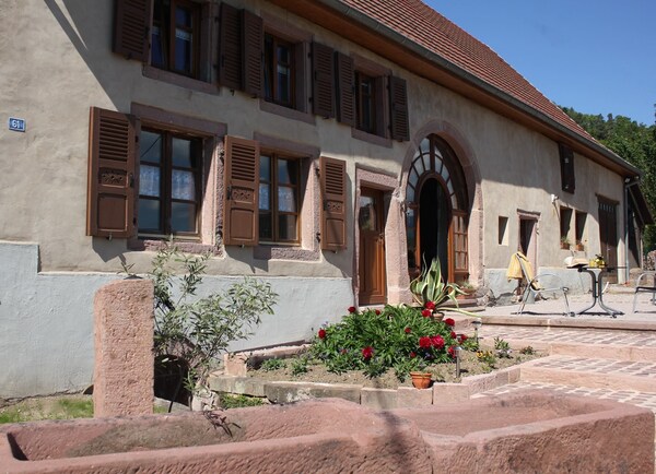 Chambres D'hotes A L'ombre Du Verger - Alsace