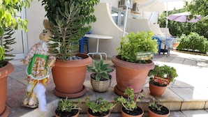 Diversas plantas em vasos dispostas num pátio com uma est átua de coelho.