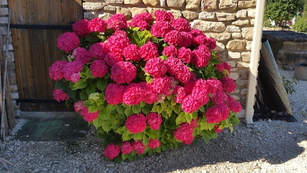 Les Gîtes De La Cavette Gite Lou 8 Personnes - Gard