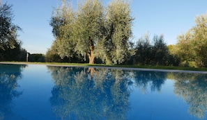 Piscina exterior sazonal 