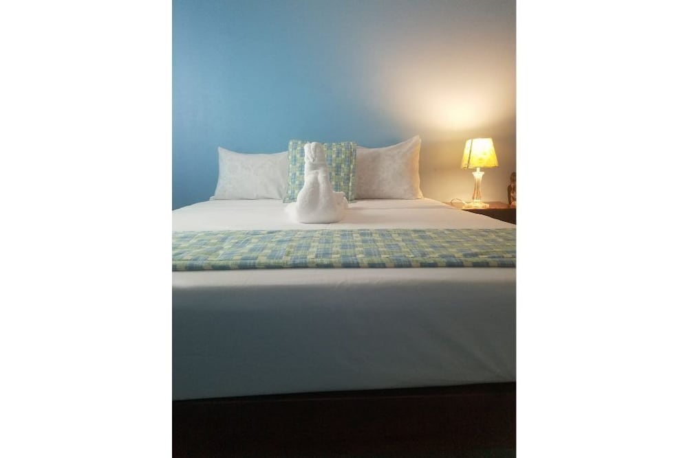 Apartment Within Private Home Located Twenty Minutes From Devon House. - Kingston