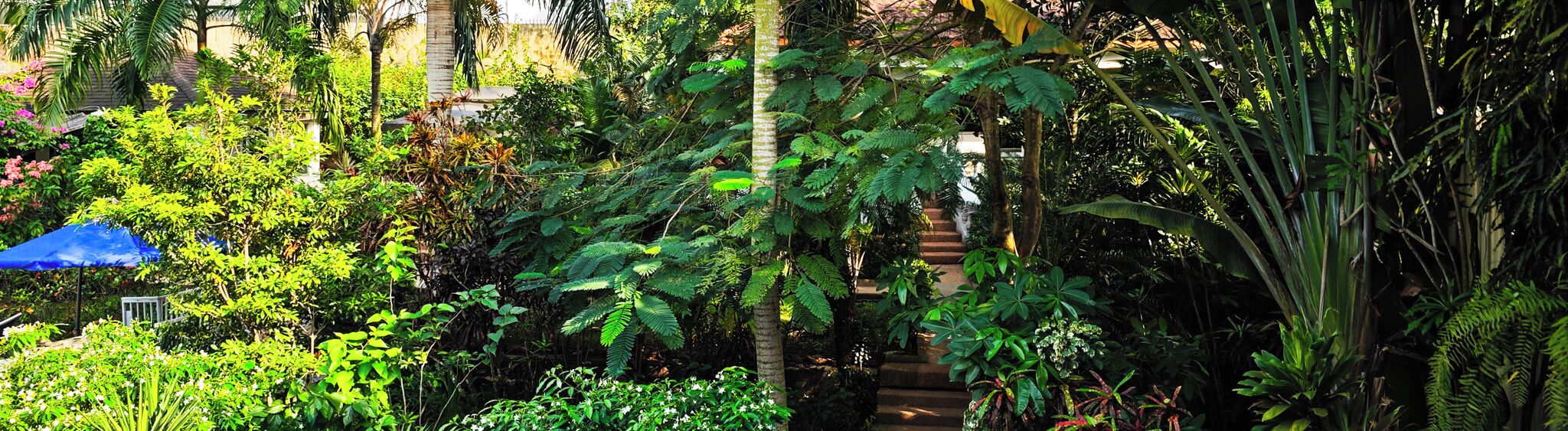 Quarto superior, para não fumantes, vista para o jardim | Vista para o jardim