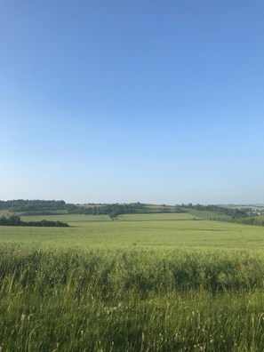 Terrenos do alojamento