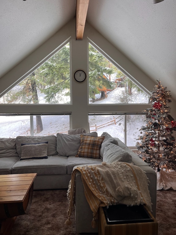 Cozy Evergreen Cabin - Washington