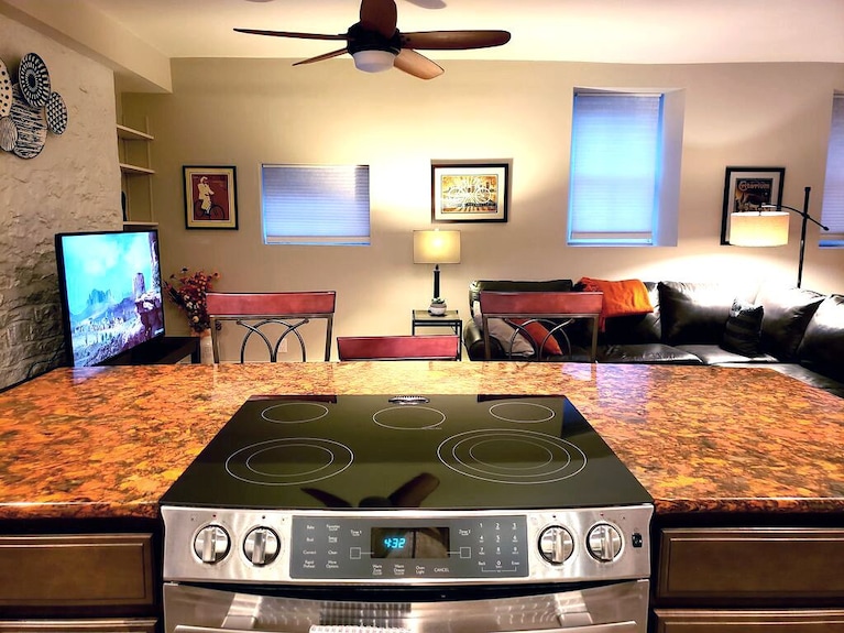 Private Luxury Apartment In The Heart Of The City - State of New York