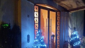Entrada de um edifício com porta de vidro, duas plantas em vasos com iluminação e um tapete vermelho na entrada.
