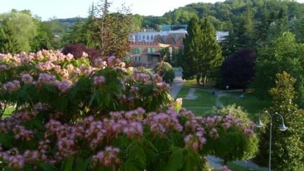 Um jardim com flores desabrochando, um caminho e um edifício com telhado verde ao fundo.
