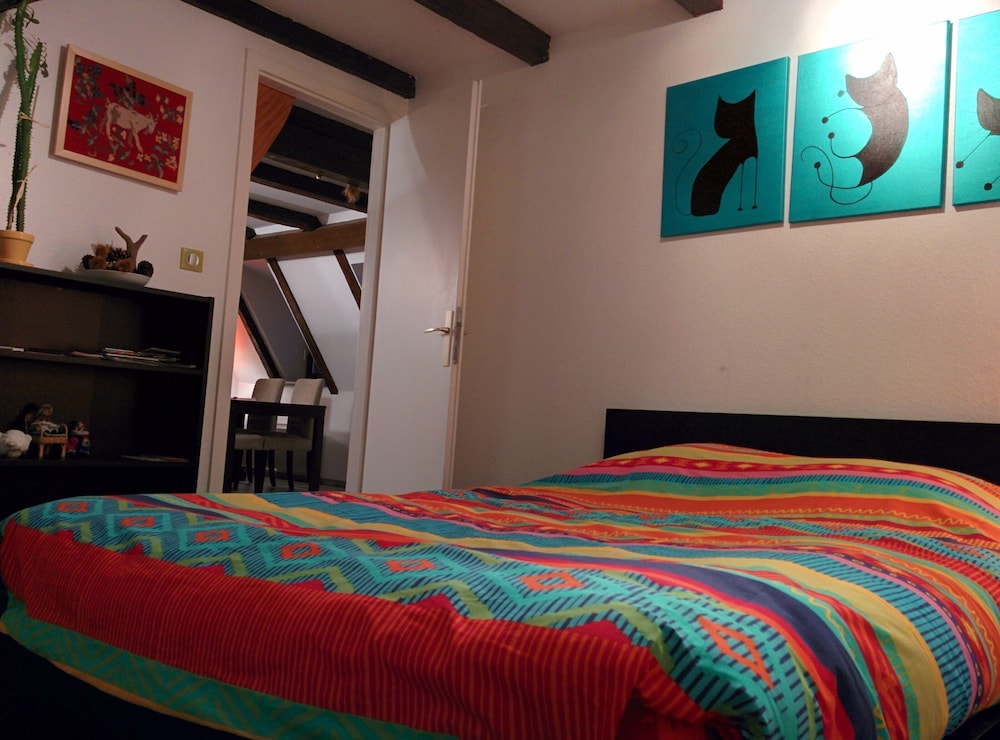 Duplex Con Encanto Cerca De La Catedral - Estrasburgo