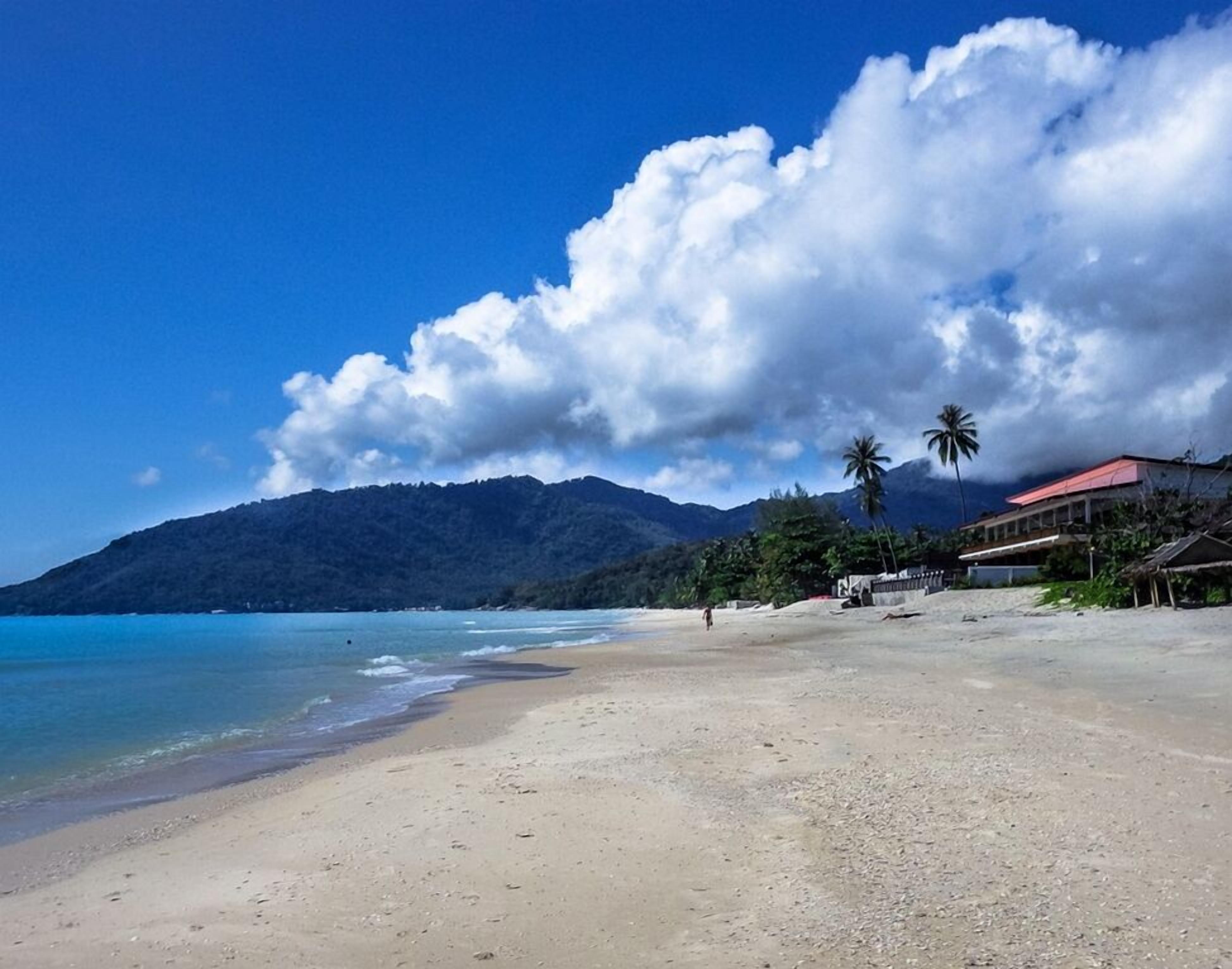 Uma praia com céu claro, montanhas ao fundo e algumas palmeiras.