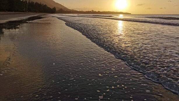Uma praia privada, praia de areia negra