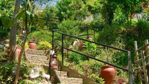 Escadaria de pedra rodeada por vegetação exuberante e vasos de barro.