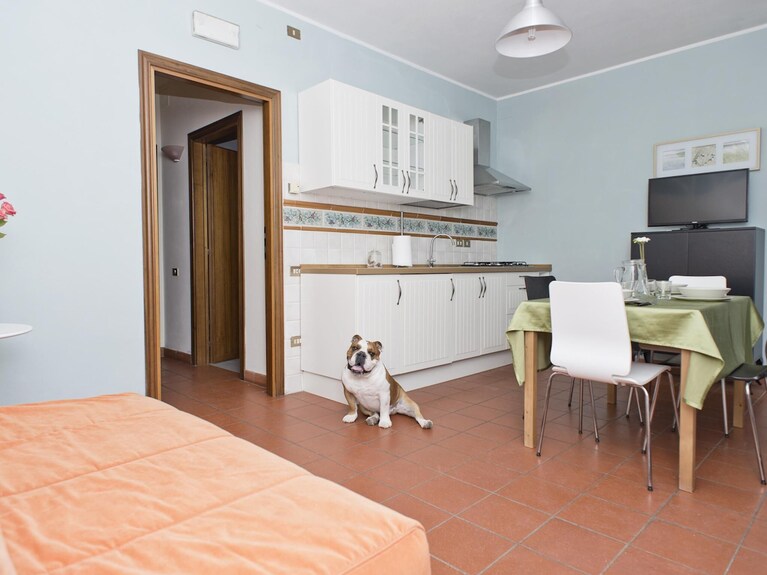 Residence A Pistoia Id 3763 - Pistoia