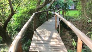 Um caminho de madeira cercado por vegetação exuberante.