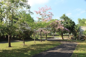 Jardim