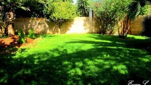 Um quintal com gramado, um muro de pedra e várias árvores.