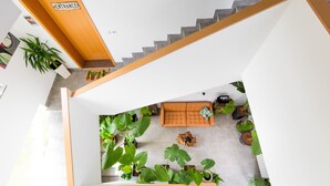 Interior moderno com escada, sofá e diversos vasos de plantas.