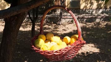 Pormenores do exterior