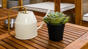 Uma mesa de madeira com um bule branco e uma planta suculenta. Uma cadeira de madeira e um vaso com planta aparecem ao fundo.