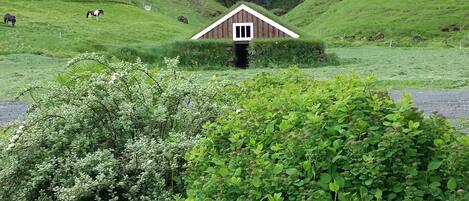 Vista para a montanha