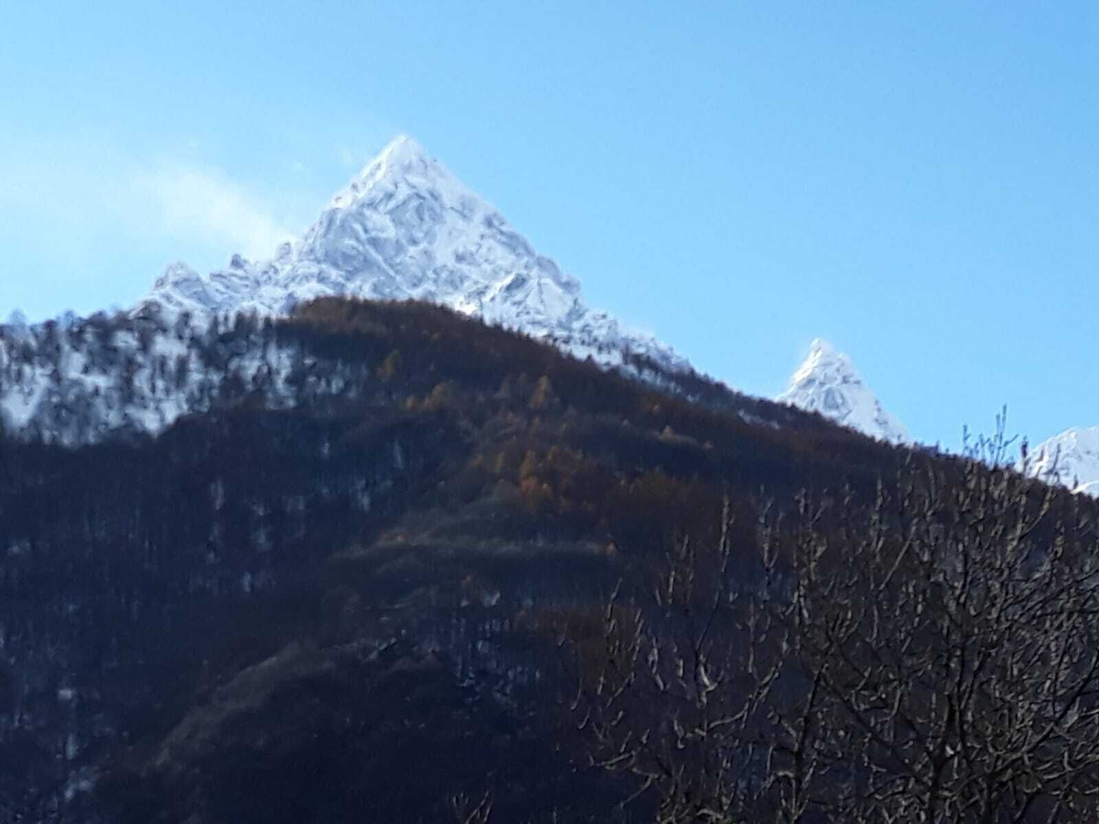 Montanha com pico nevado e encosta arborizada.