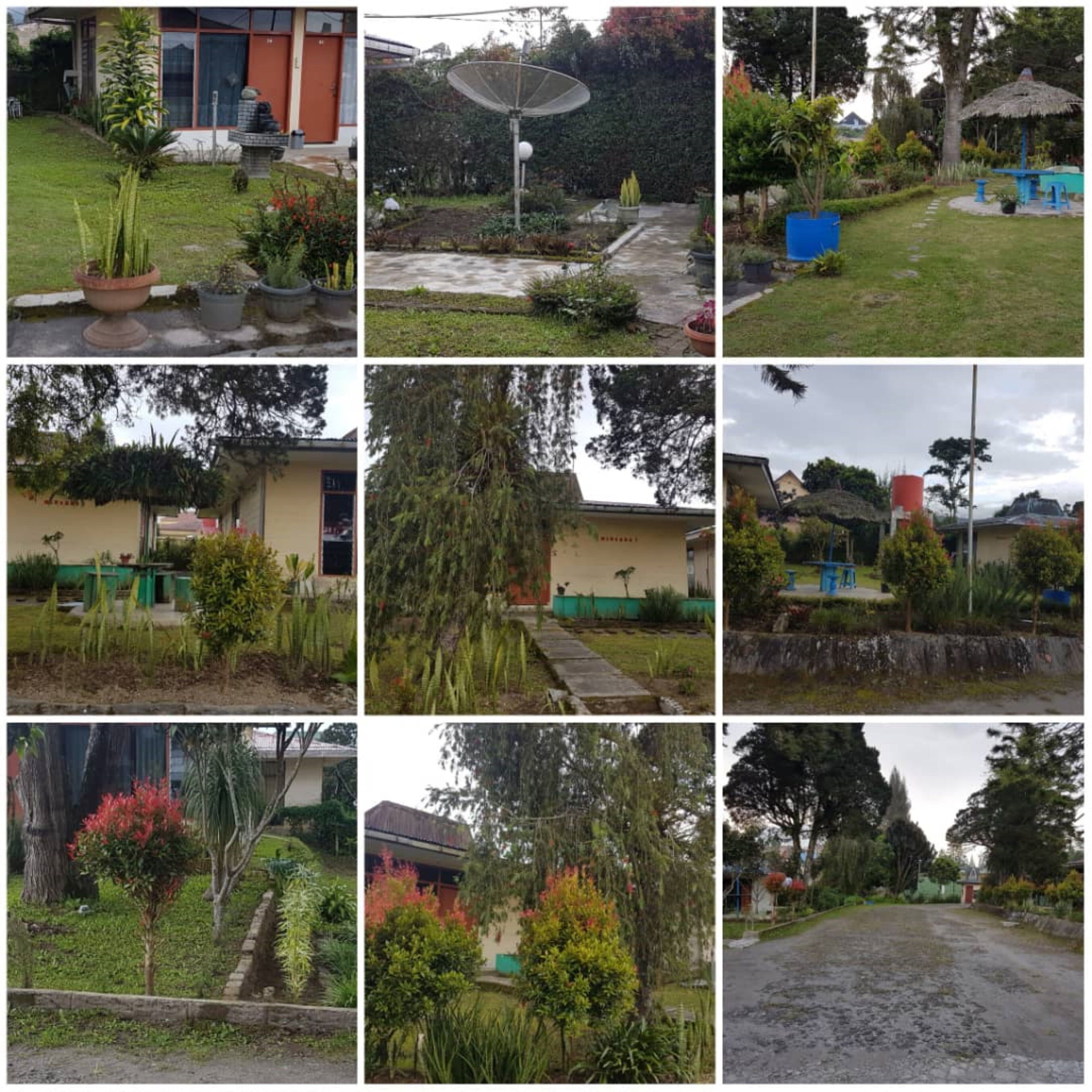 Vários cenários ao ar livre com plantas diversas, uma antena parabólica e uma estrutura azul.