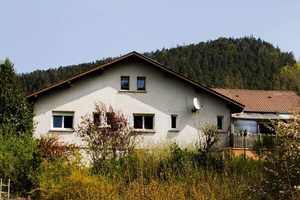 La Chti Cabane - Vosges