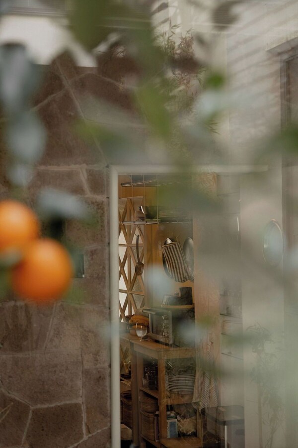 Casa Pani - Mexico City